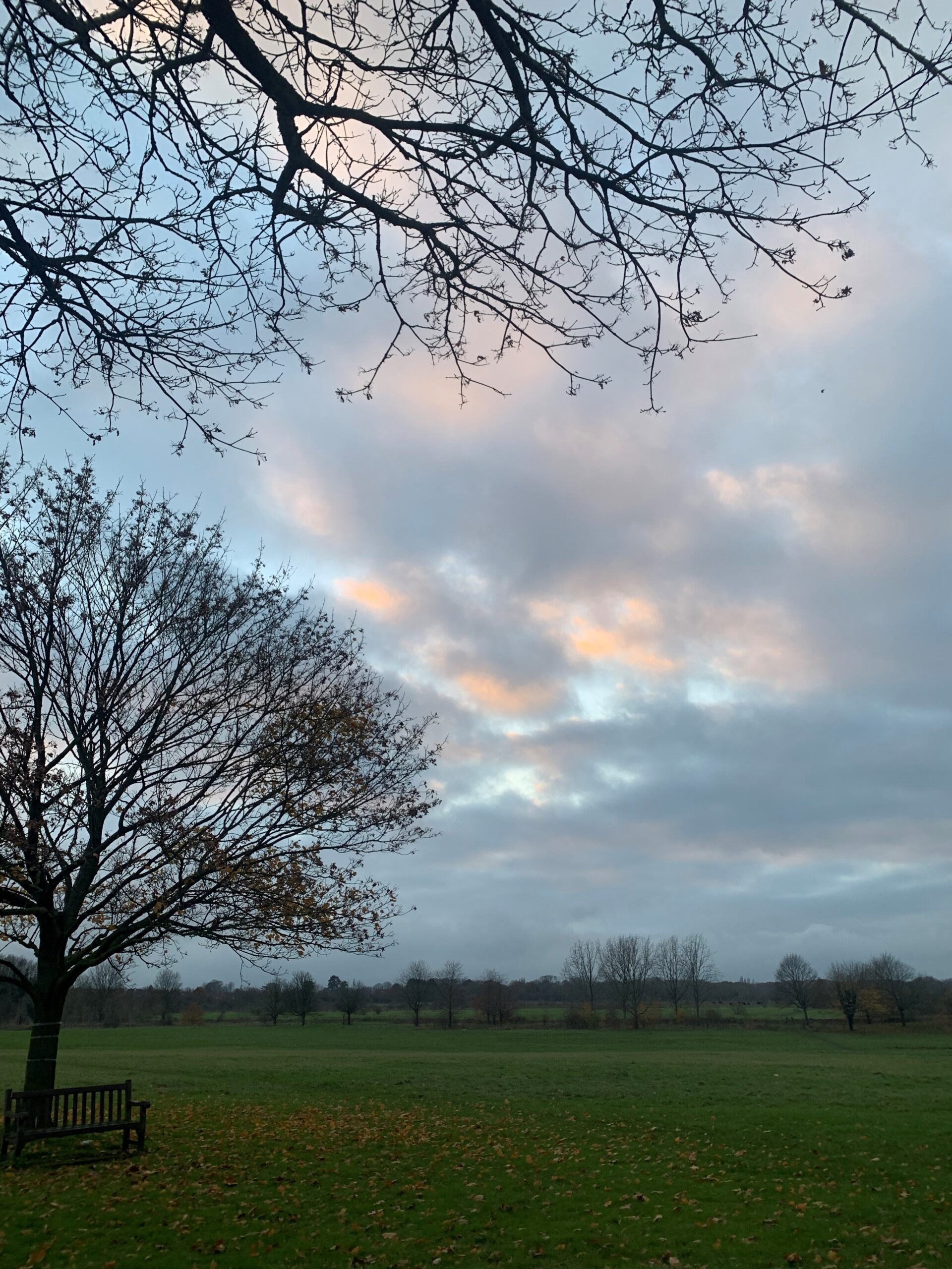 Sometimes I wonder why poem – Igho The Blank